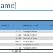 Credit Card Log Excel - The Synergy Group AG
