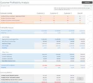 Customer Profitability Analysis Excel - The Synergy Group AG